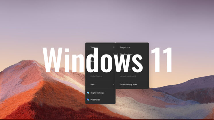 Windows 11 ISO - Stealth Settings