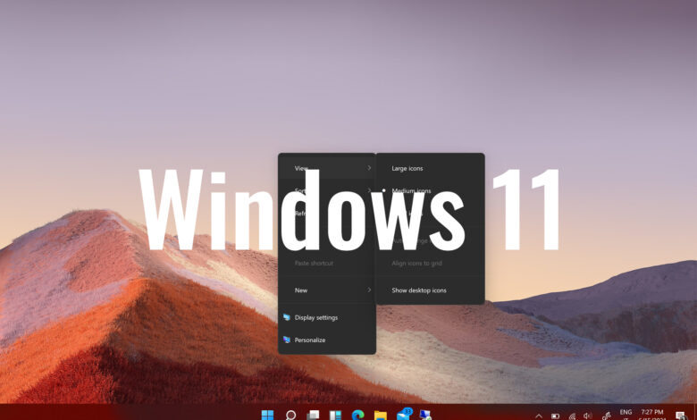 Windows 11 ISO » Stealth Settings